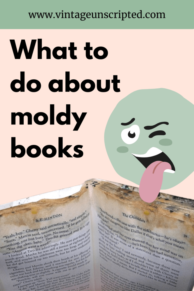 What To Do About Moldy Books - Vintage Unscripted